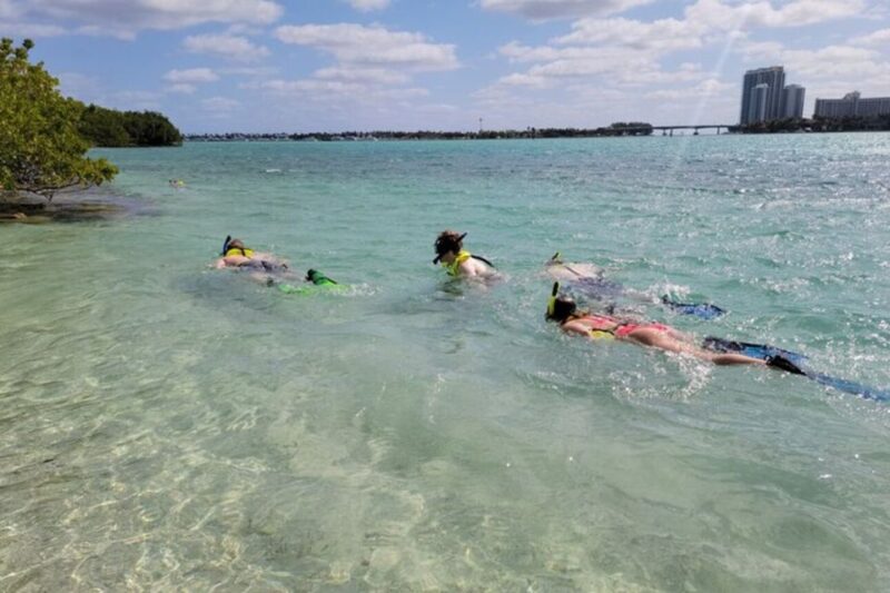 Ocean Reef Snorkeling and Paddleboarding - Final Thoughts