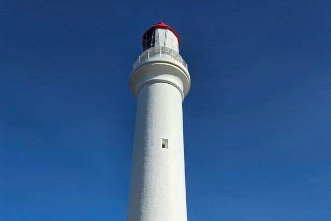 Ocean Road Private Tour from Melbourne - Who Will Love This Tour?