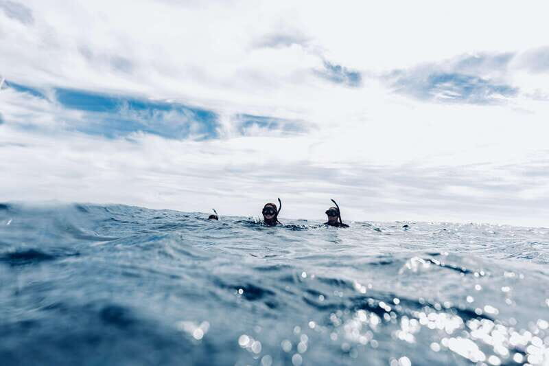 Ocean Safari in San Jose del Cabo - Key Points