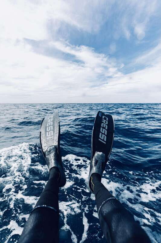Ocean Safari in San Jose del Cabo - A Closer Look at the Ocean Safari Experience