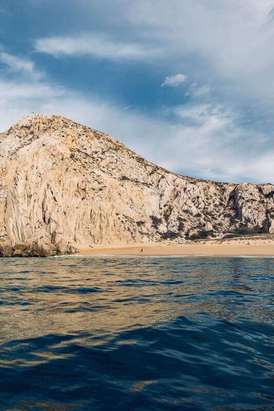 Ocean Safari in San Jose del Cabo - What Sets This Tour Apart
