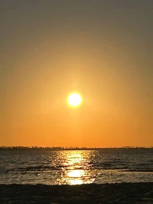 Ocean Springs: WingFoil Lesson - Why Choose This Experience?