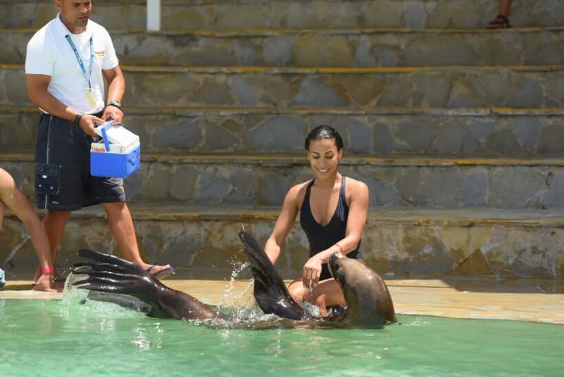 Ocean World Dolphin Swim & Sea Lion Combo from Puerto Plata - A Well-Balanced Look at Ocean World Dolphin & Sea Lion Combo