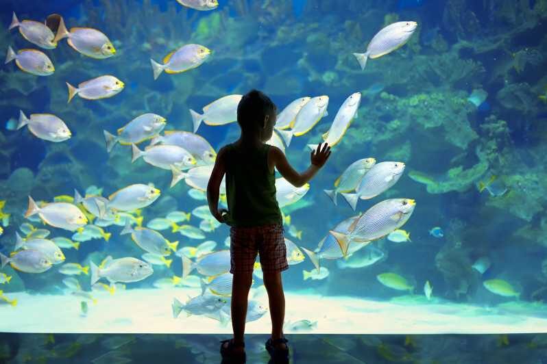 Oceanographic Museum of Monaco Ticket - Key Points