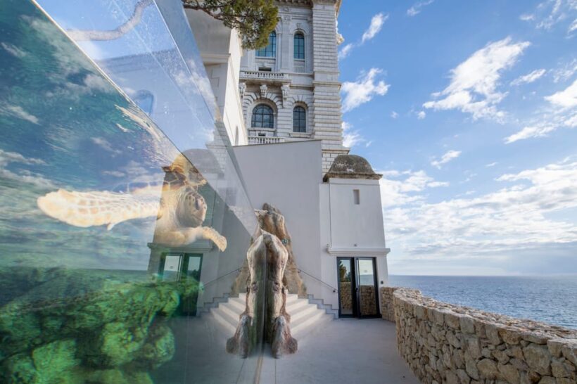 Oceanographic Museum of Monaco Ticket - Introduction to the Oceanographic Museum of Monaco