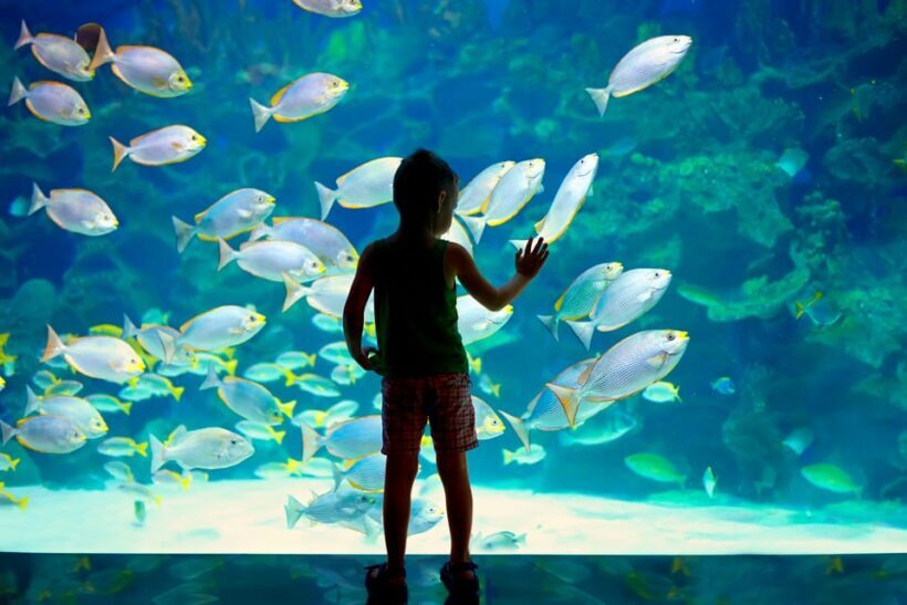 Oceanographic Museum of Monaco Ticket - The Sum Up: Who Should Visit?