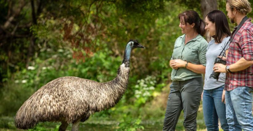 Oceans to Mountains Explorer: 3-Day Great Ocean Road Tour - An Overview of the Itinerary: What Makes Each Day Special