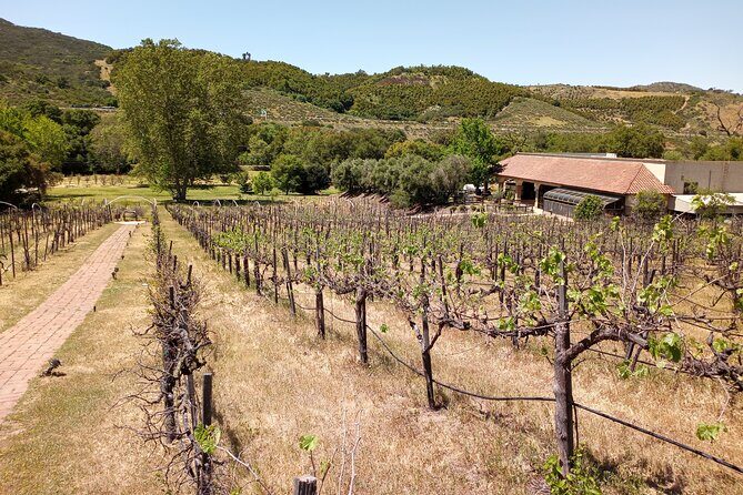 Oceanside, Auto Museum & Winery Tour & Tasting - Optional Add-ons and Nearby Highlights