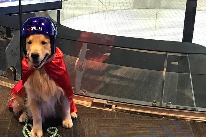 Oceanside Indoor Skydiving Experience with 2 Flights & Personalized Certificate - Who Will Love This?