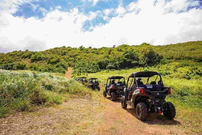 Oceanview Offroad UTV Tour in Fajardo Puerto Rico - Itinerary Breakdown: What Youll Actually Do