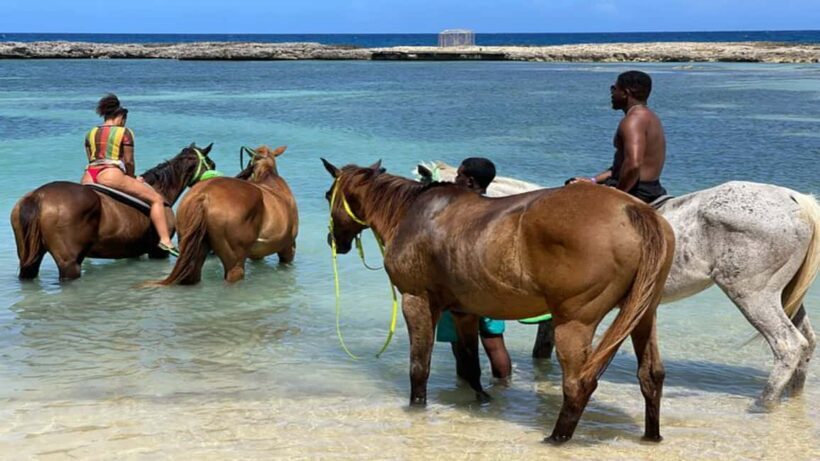 Ocho Rio: Dunns River Falls, Rafting, Horses & Ziplines Tour - FAQ