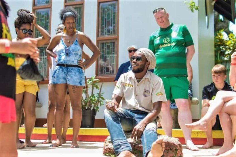 Ocho Rios: Blue Hole & Bob Marley Museum Tour - An In-Depth Look at the Tour Experience