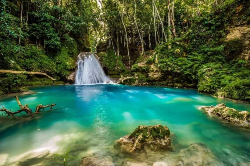 Ocho Rios: Blue Hole, White River Tubing, and Horseback Ride - Experience Quality and Value