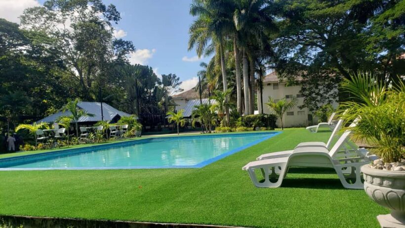 Ocho Rios: Chill at The Aquaville Rush - The Setting and Atmosphere: A Garden Oasis