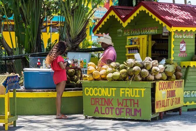 Ocho Rios City Tour, Sightseeing and Shopping - Who This Tour Is Best For