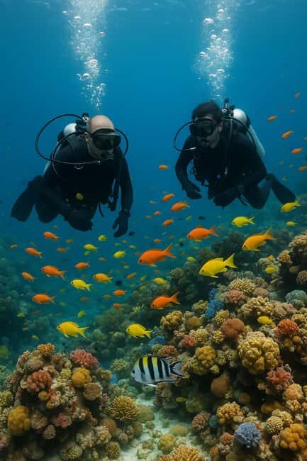 Ocho Rios: Discover Scuba Diving for Beginners - Introduction: A gentle gateway into the underwater world