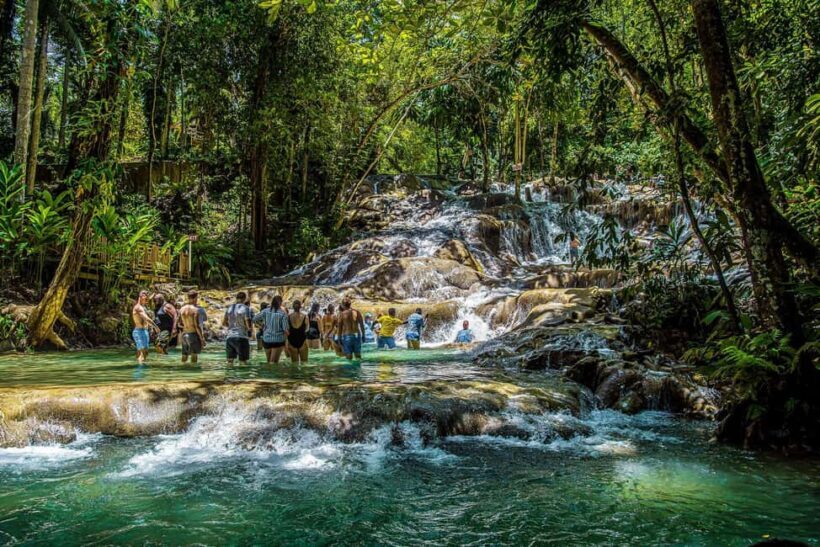 Ocho Rios: Dunn's River Falls Tour - In-Depth Look at the Itinerary