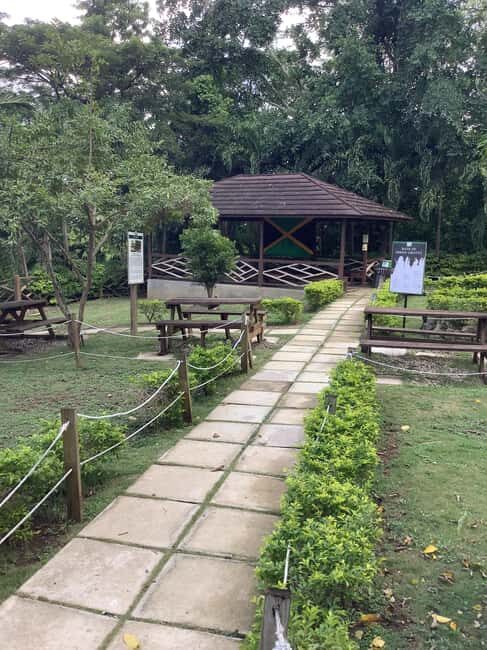 Ocho Rios: Green Grotto Caves Guided Tour with Transfers - How Does it Compare in Value?