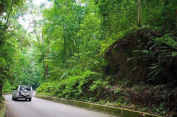 Ocho Rios Highlights and Shopping Tour - What Past Travelers Say