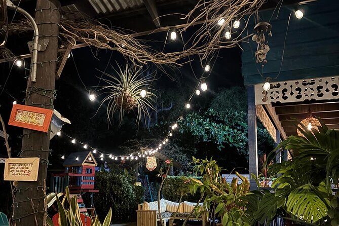 Ocho Rios Night Life - Booking, Price, and Timing