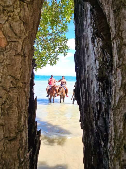 Ocho Rios: Scenic Horseback Riding Adventure - Practicalities and Value