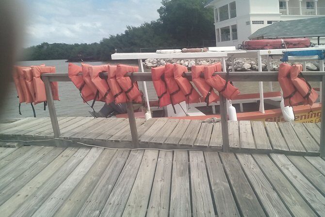 Ocho Rios Shore Excursion: Private Snorkel Tour - What Others Are Saying (Based on reviews)