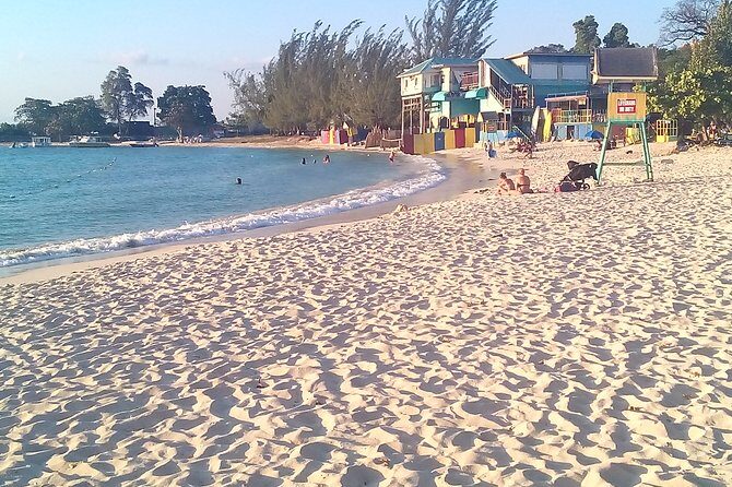 Ocho Rios Shore Excursion: Private Snorkel Tour - The Sum Up: Is This Tour Right for You?