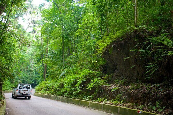 Ocho Rios Sightseeing, Beach Half-Day Tour (Admission include) - Introduction