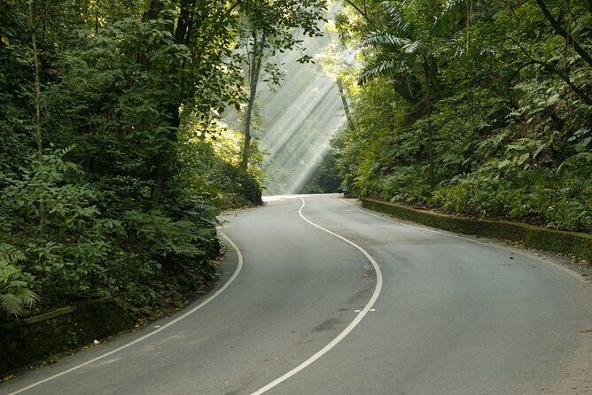 Ocho Rios Sightseeing, Beach Half-Day Tour (Admission include) - Final Thoughts