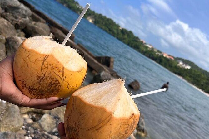 Ocho Rios Sightseeing Tours and Shopping - An In-Depth Look at What to Expect