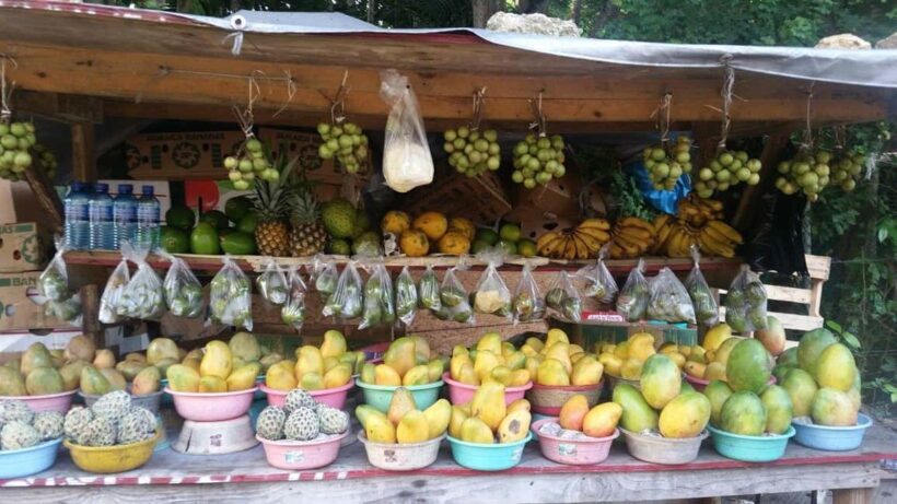 Ocho Rios Street Eats - Key Points