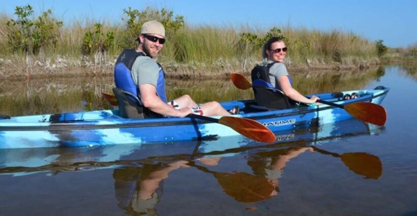 Ochopee: Half-Day Mangrove Tunnel Kayak Tour - The Value of this Experience