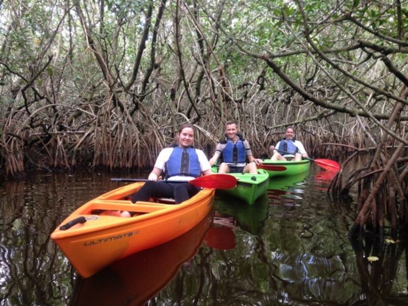 Ochopee: Half-Day Mangrove Tunnel Kayak Tour - The Sum Up