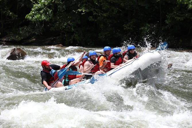 Ocoee River Middle Whitewater Rafting Trip (Most Popular Tour) - The Sum Up