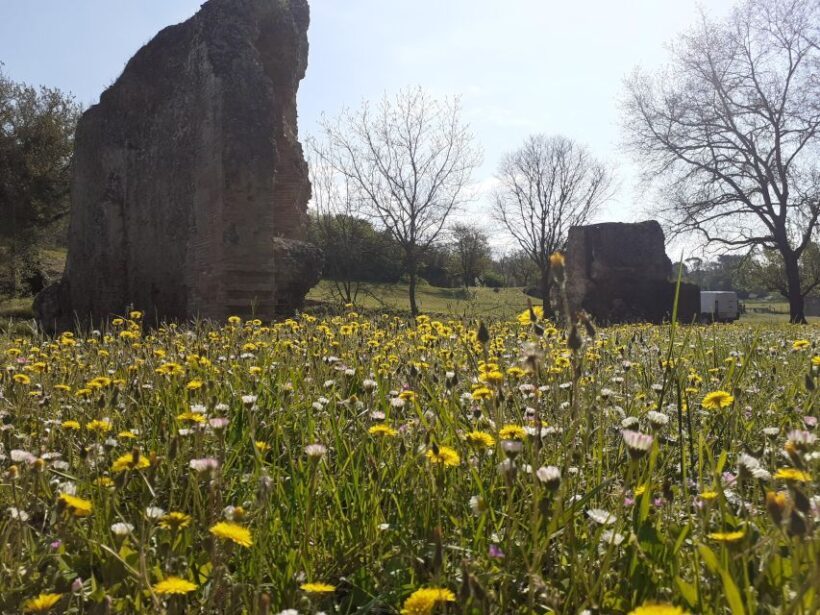 Ocriculum: entrance to the Umbrian archaeological park - Discovering Ocriculum: A Roman Gem at the Gateway to Umbria