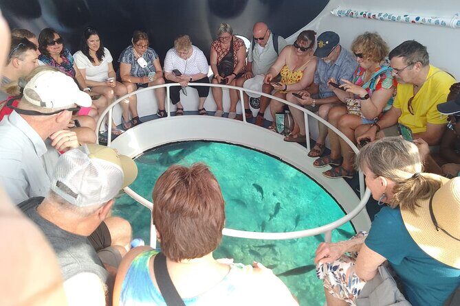 Oculus Glass Bottom Boat Tour - Pricing and Value