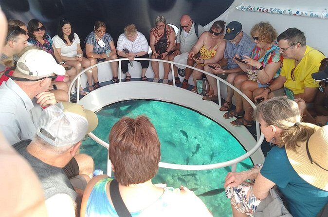 Oculus Glass Bottom Boat Tour - Practical Tips for Travelers