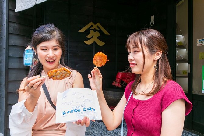 Odawara Castle and Town Guided Discovery Tour - Discovering Scenic Viewpoints and Hidden Gems