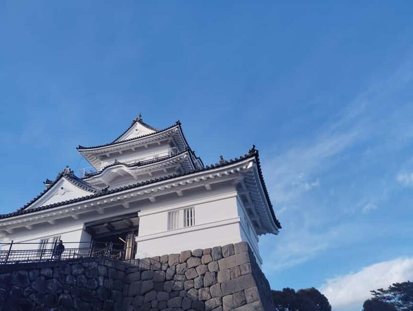 Odawara: Castle Guided Tour with Panoramic Views - FAQs