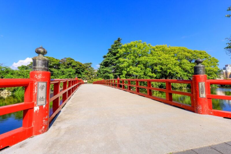 Odawara: Odawara Castle and Town Guided Discovery Tour - Customer Reviews