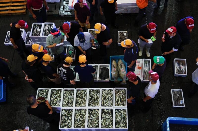 Odawara: Odawara Fish Market Experience - Key Points