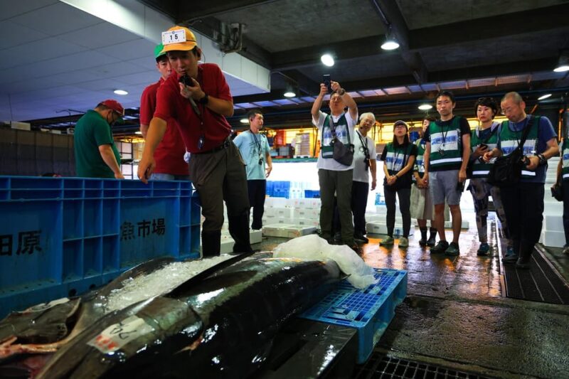 Odawara: Odawara Fish Market Experience - Pricing and Booking