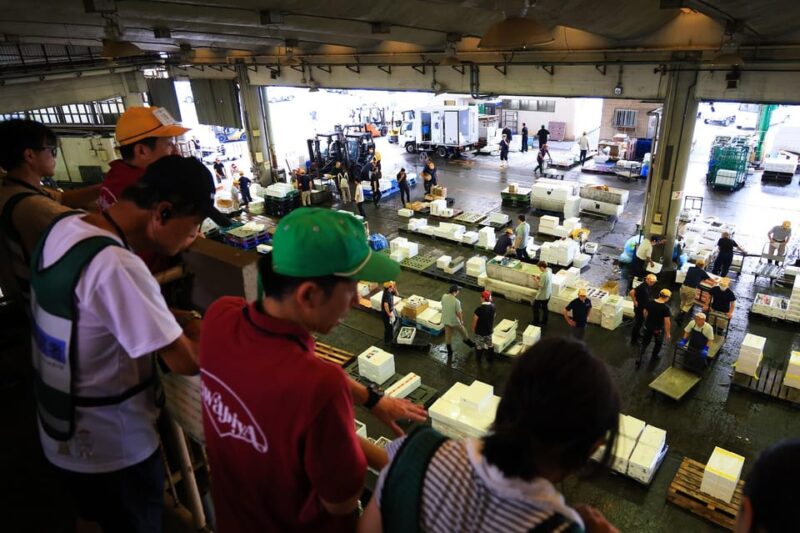 Odawara: Odawara Fish Market Experience - Itinerary Highlights
