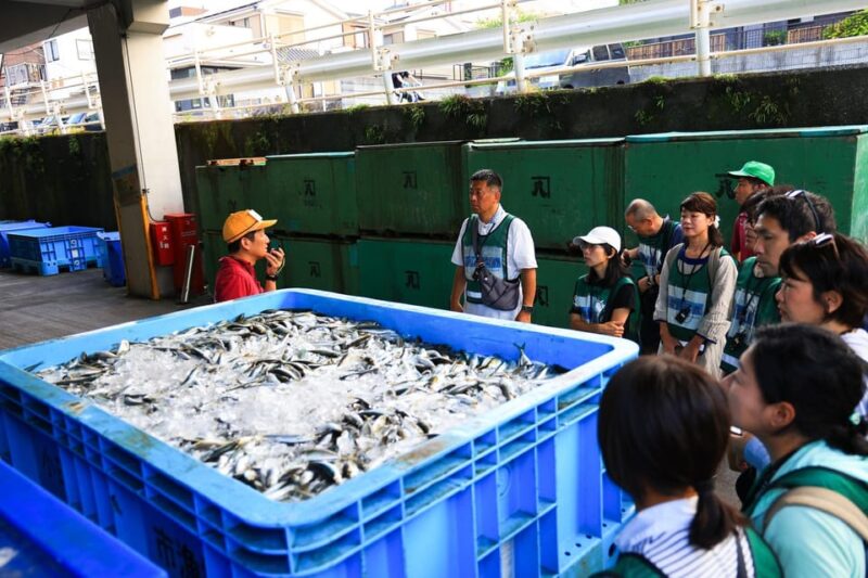 Odawara: Odawara Fish Market Experience - Unique Experiences