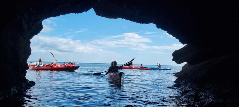 Oddicombe: Wildlife, Bushcraft and Sea Cave Kayak Safari - Real Experiences and Reviews