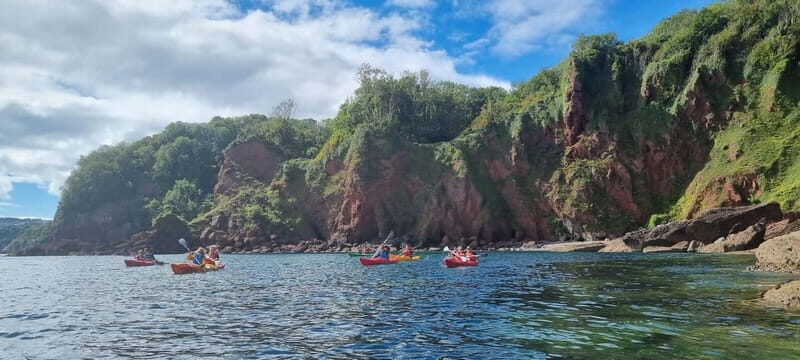 Oddicombe: Wildlife, Bushcraft and Sea Cave Kayak Safari - Final Words