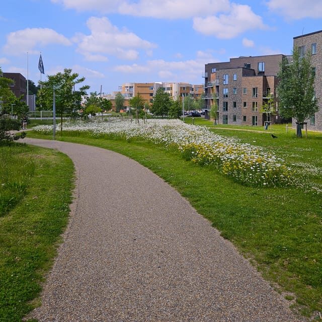 Odense: City walk - The new green Odense - City development - Final Thoughts: Is This Tour Worthwhile?