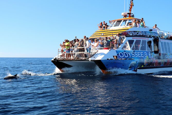 Odyssee 3: The Glass Bottom Boat Tour in Fuerteventura - Cruising With Dolphins and Turtles