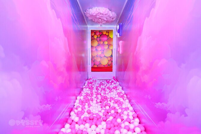 Odyssey Sensory Maze Entry Auckland Ticket - Accessibility and Considerations