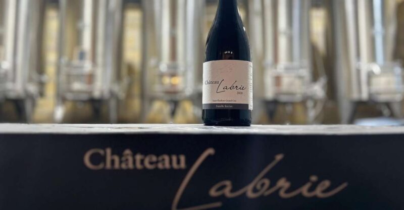 Oenological Exploration at Château Labrie St Emilion GC - The Guided Tour: Insights From an Expert